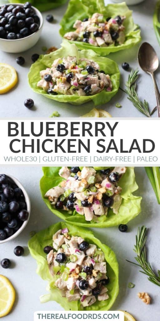Blueberry Chicken Salad with Rosemary - The Real Food Dietitians