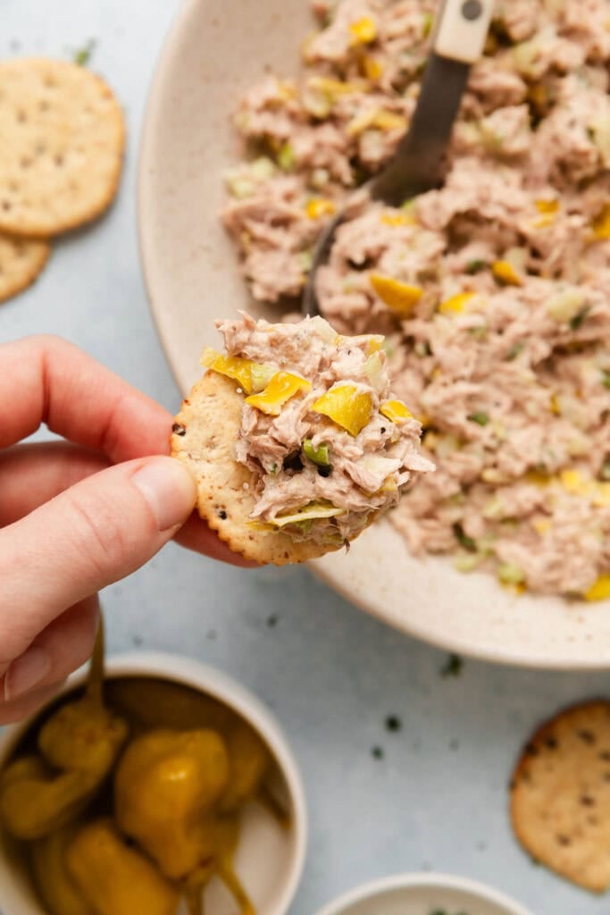 Best Tuna Salad Recipe